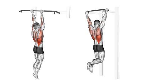 6 Best Vertical Pull Exercises With Pictures Inspire Us