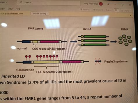 Case Launch Flashcards Quizlet Case Launch Flashcards Quizlet
