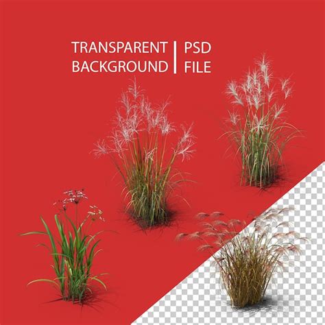 Premium Psd Grasshopper Png