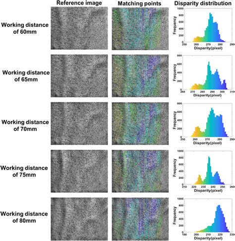 Disparity Results Of Multiscale Skin Image The Stereo‐matching Results
