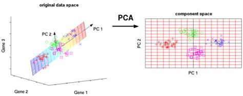 principal component analysis roshan talimi