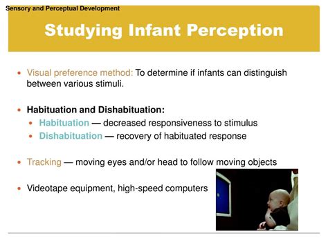 Ppt Motor Sensory And Perceptual Development Powerpoint Presentation Id2295964