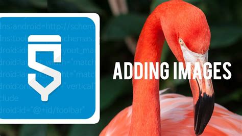 Adding Images Create Apps Through Sketchware Youtube