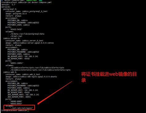 通过Zabbix Docker配置HTTPS访问系统