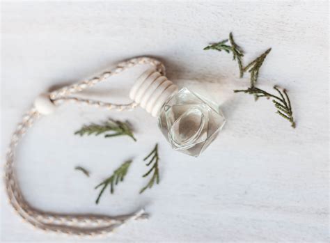 Hanging Car Diffusers Zen Zalea Botanicals