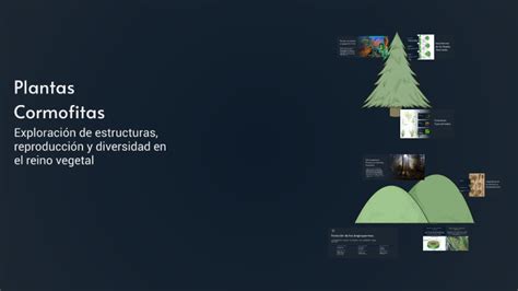 Plantas Cormofitas By Lineth Chavez Lopez On Prezi