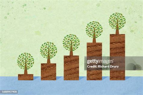 Tree Graph Photos And Premium High Res Pictures Getty Images