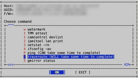 Running Network Utilities Ping And Traceroute Commands On An Oca Netflix Open Connect