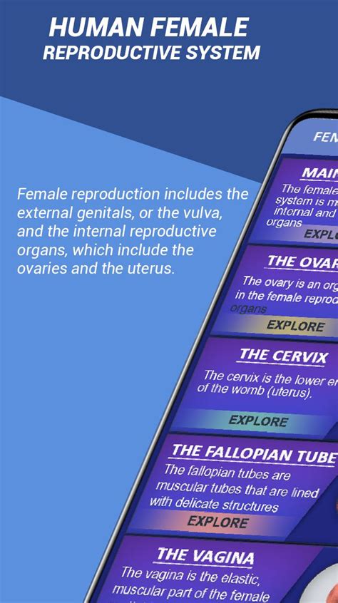 Female Reproductive System App Apk For Android Download