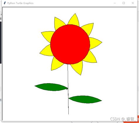 Python画花 Csdn博客