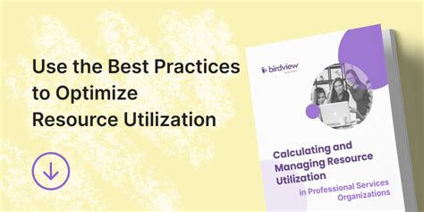 Calculating And Managing Resource Utilization Birdview Psa Ebook