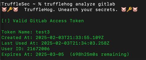 How Do I Find The Owner Of A Gitlab Personal Access Token Truffle Security Co