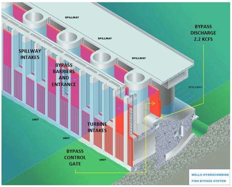 Juvenile Fish Bypass System Douglas County Pud Juvenile Fish Bypass System Douglas County Pud