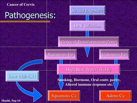 Ppt Pathology Of Cervical Carcinoma Powerpoint Presentation Free