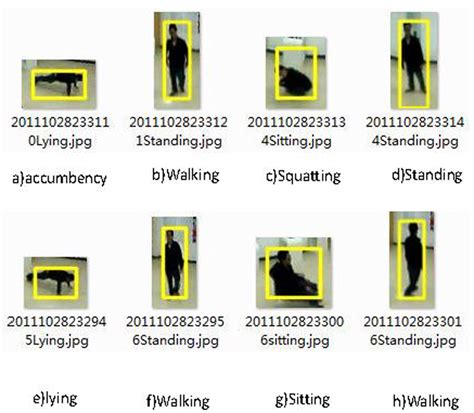 Human Posture Recognition Examples Download Scientific Diagram