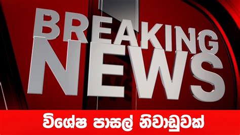 පාසල් සිසුන්ට දැන් නිකුත් කළ නිවේදනය School News Breaking News Youtube