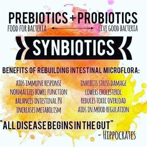 Plexus Probio5 Probiotic Plexus Products Prebiotics And Probiotics Gut Health