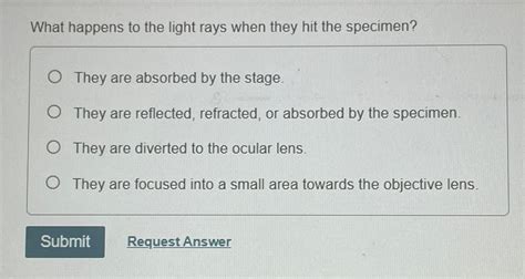 Solved What Happens To The Light Rays When They Hit The Chegg Com