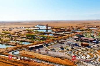 放眼尽带黄金甲 肃州祁连苇海冬日美景热映中 凤凰网视频 凤凰网