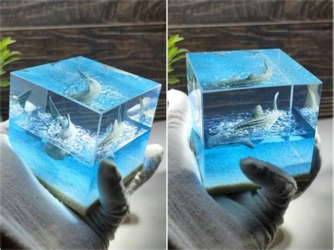 Lucky Coin Of The Oracle Of Orifices Randomizes Sexual Activity Ritemshop