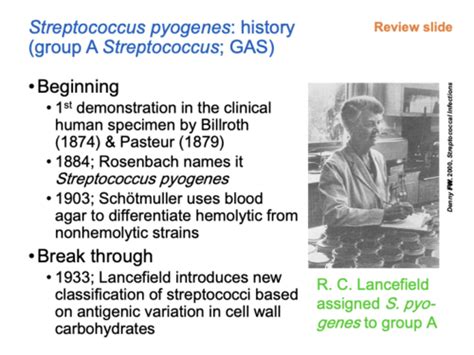 Streptococcus Pyogenes Gas Flashcards Quizlet