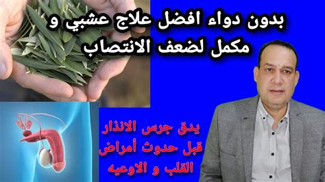 بدون دواء افضل علاج لضعف الانتصاب تقوية الانتصاب و اهم مكمل غذائي و
