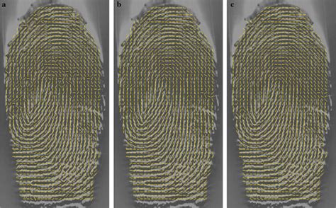 Fof Estimation Results For The Same Fingerprint Image With Different