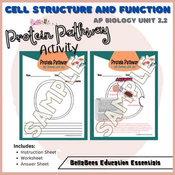 AP Biology Unit Bundle Cell Structure And Function TPT