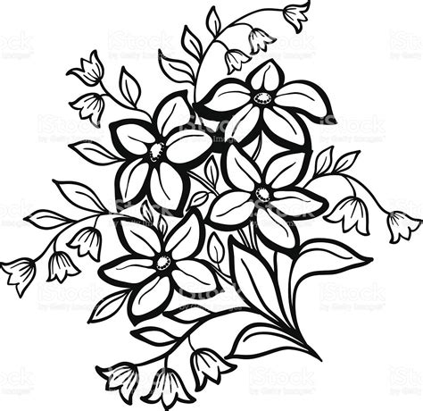 Sampaguita Drawing Free Download On Clipartmag