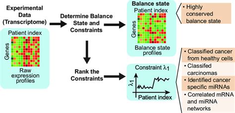 The Heatmap On The Left Represents A Transcriptomic Dataset Derived