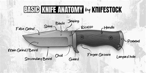 Basic Knife Anatomy