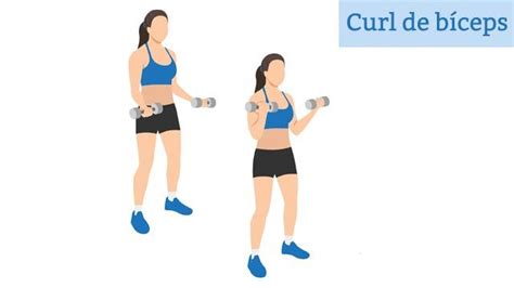 Rural And County Builders Ltd