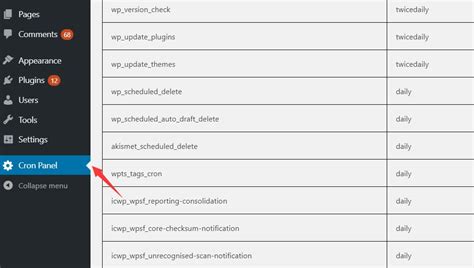 Display All Activate Schedued Tasks On The Admin Panel Cron Time WP Missing