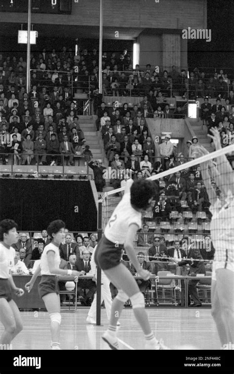 Volleyball Japan Vs Usa At Autumn Allen Blog