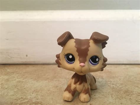 Modeling Lps Amino
