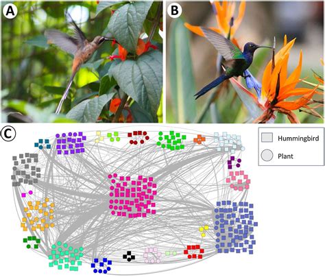 Contrasting Nation Wide Citizen Science And Expert Collected Data On