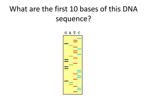 Introduction To Bioinformatics Pdf