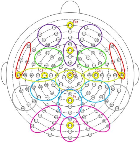 Topographical Clusters Used For Anovas And Network Analyses Purple