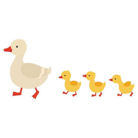 Mother Duck And Ducklings 19030056 Vector Art At Vecteezy