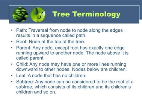 discrete mathematics tree pptx