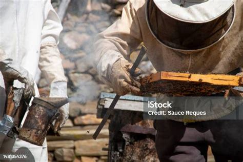 꿀벌과 함께 일하는 양봉가 상자에 꿀을 모으는 양봉가 흡연자 양봉복 다양한 양봉 도구 벌통도 볼 수 있습니다 2명에 대한 스톡 사진 및 기타 이미지 Istock