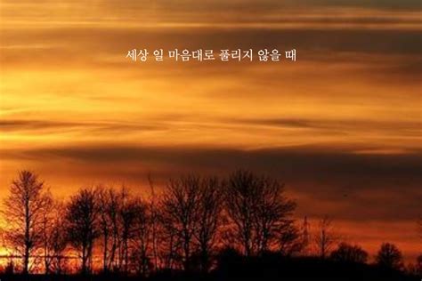 좋은글 삶은 언제나 알 듯 모를 듯 잡힐 듯 말 듯 우리에게 다가온다 왜 삶은 정확한 정답을 주지 않는 것인지 왜 공부를 해도 해답을 가르쳐주지 않는지 원망스러울