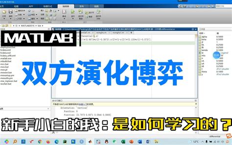 新手小白扛着matlab自学双方演化博弈之旅哔哩哔哩bilibili