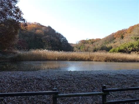 おちばのおふとんぽっかぽか さいたま緑の森博物館