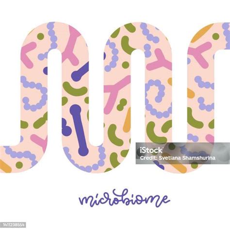 내장이 없는 장내 미생물 배너 건강한 프로바이오틱 박테리아를 가진 인간의 장 미생물 미생물학 검진의 평면 벡터 추상 의학 삽화 프로바이오틱에 대한 스톡 벡터 아트 및 기타