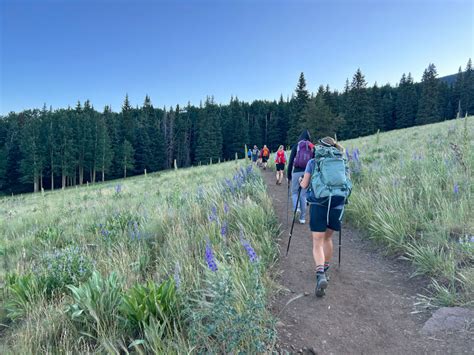 Hike Humphreys Peak The Highest Point In Arizona Wildpathsaz