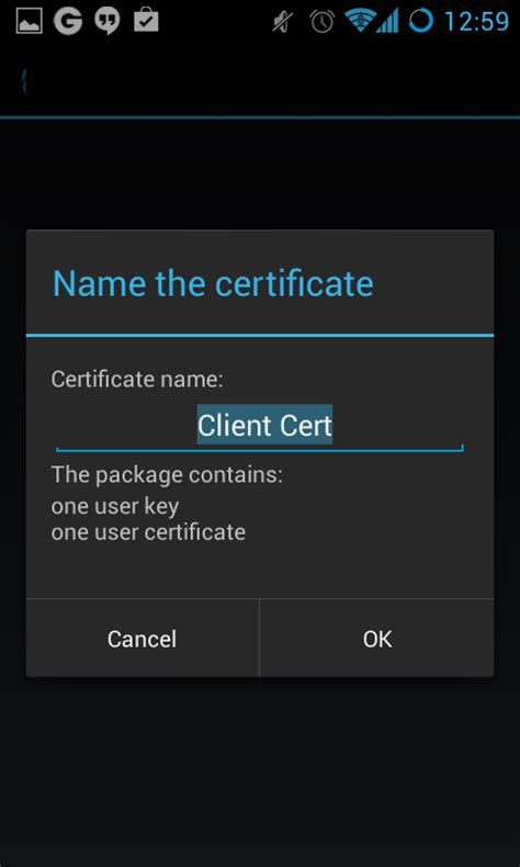 Installing Client Certificate On Android Programmatically Without