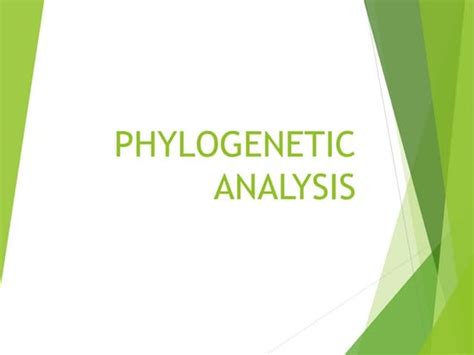 Presentation About Phylogenetic Tree And Its Construction Methods Pptx