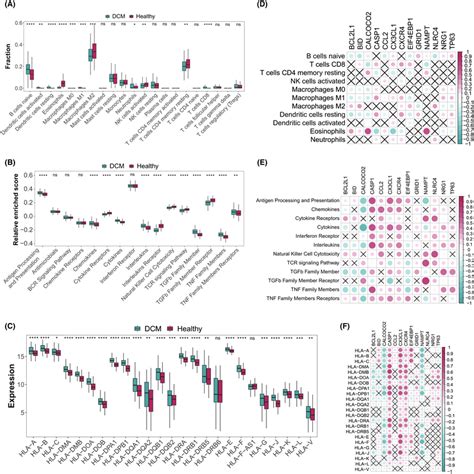 The Correlation Between Immune Microenvironment Characteristics