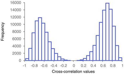 The Data From The Biological Example Histogram Of Cross Correlations Download Scientific